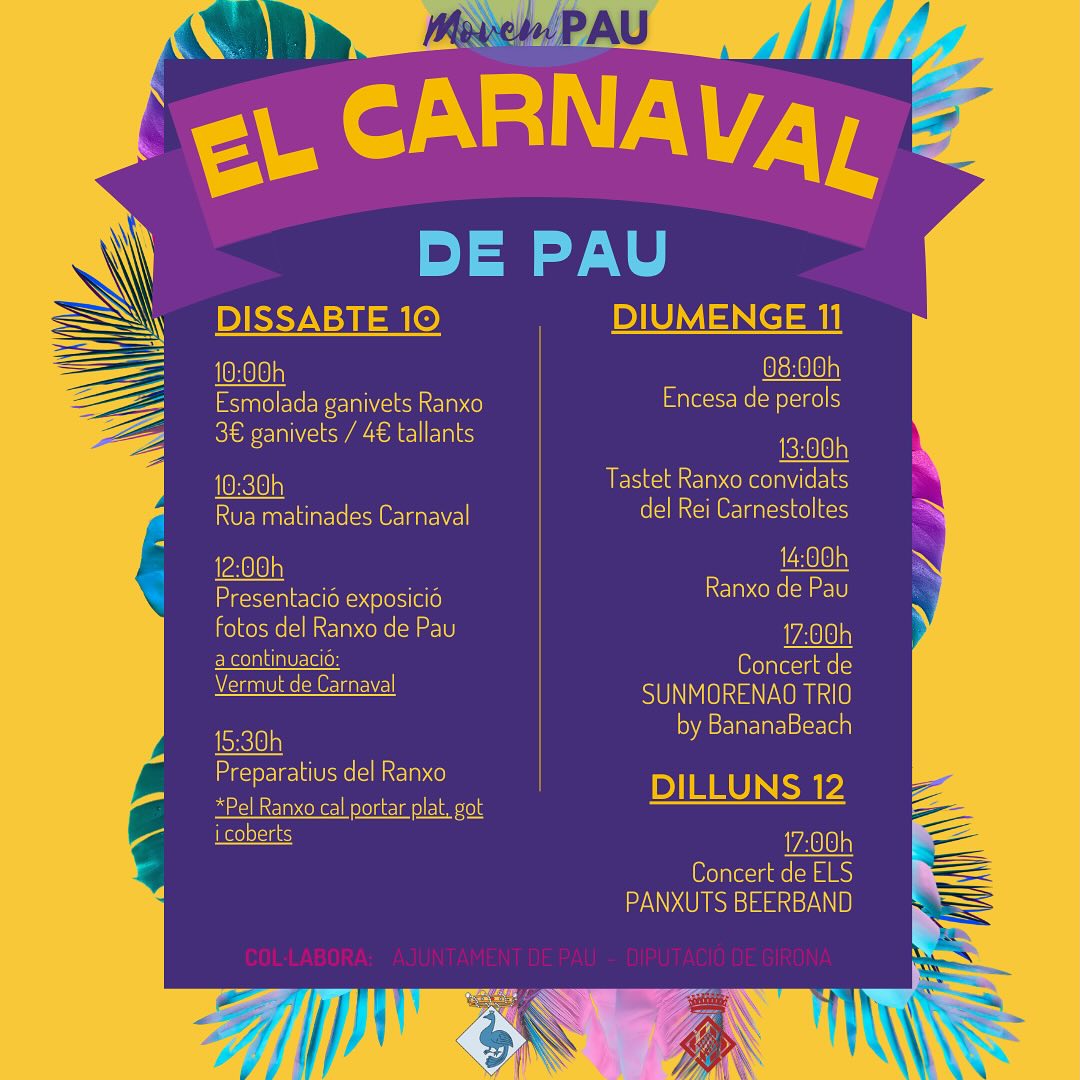 Carnaval de Pau - Ajuntament de Pau